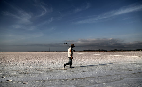 Salt Odyssey - A tasteful journey with the gourmet salt artisans of Gr ...